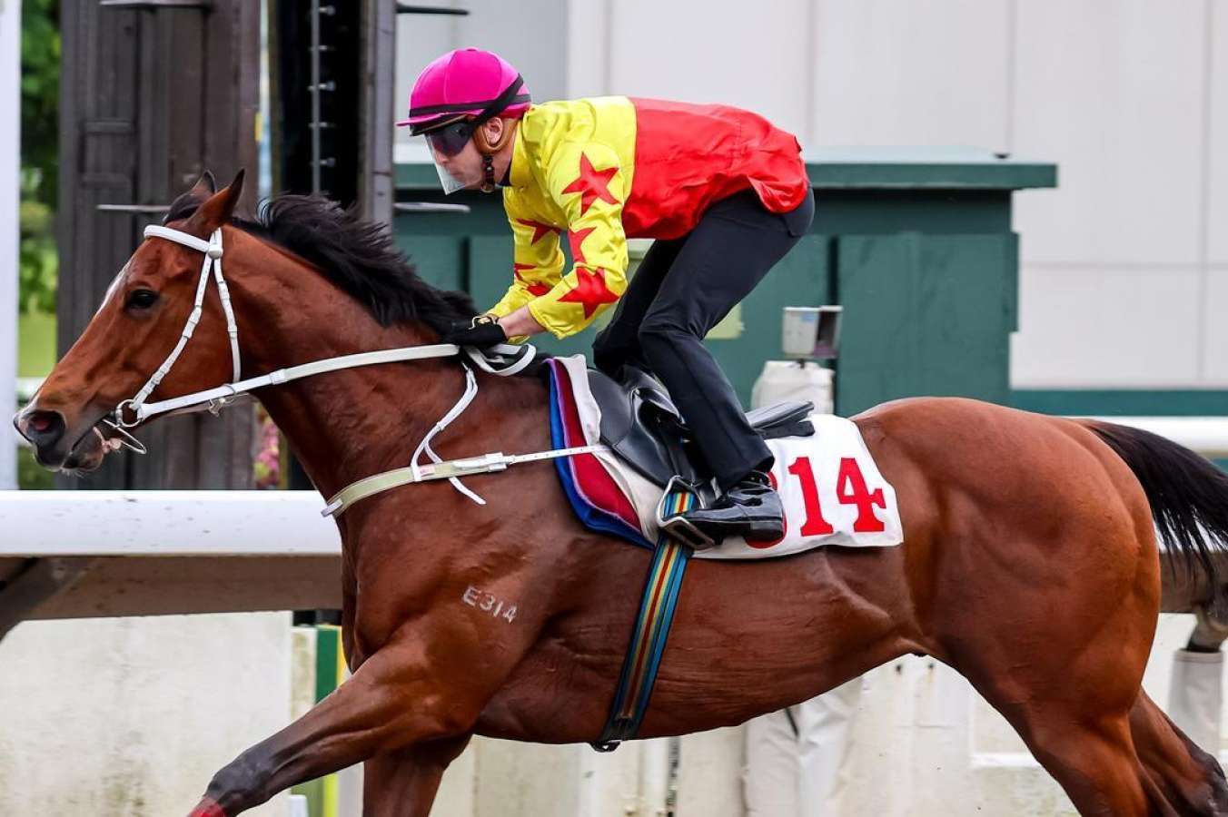 California Spangle prepares for late season target at Sha Tin