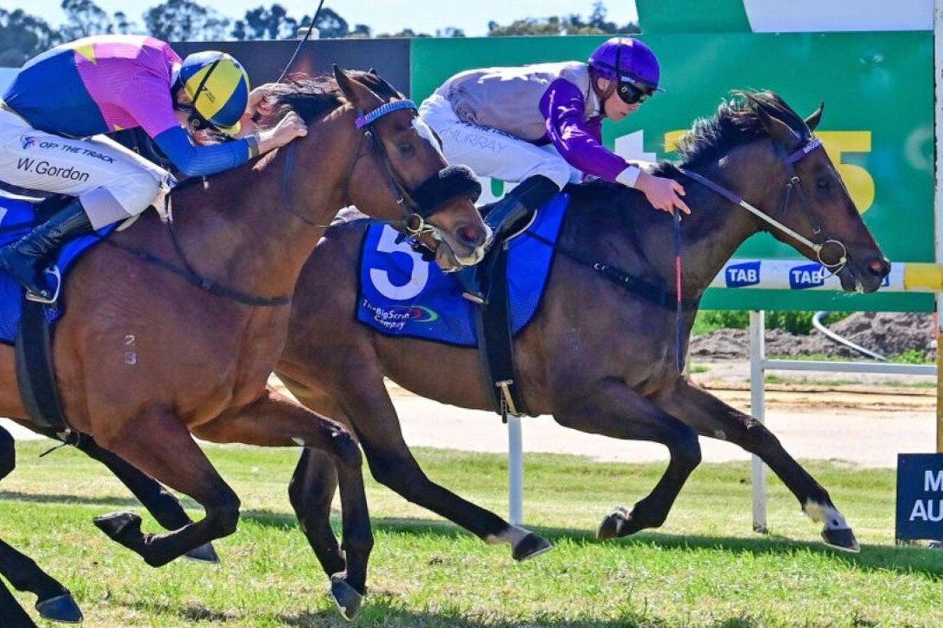 South Australia's most profitable jockey capitalising on opportunities