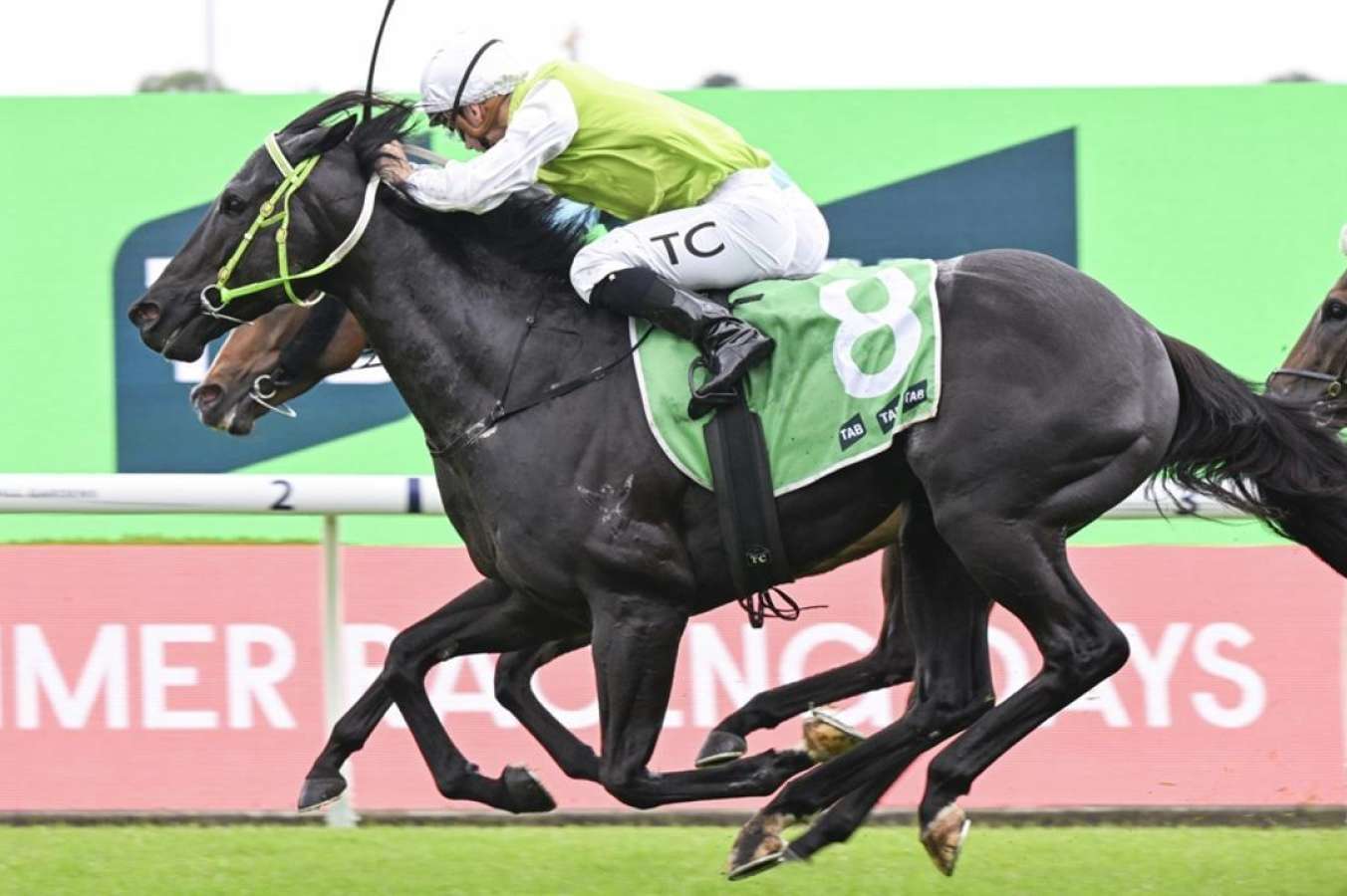 Wagga, Scone horse racing previews: February 17, 2025