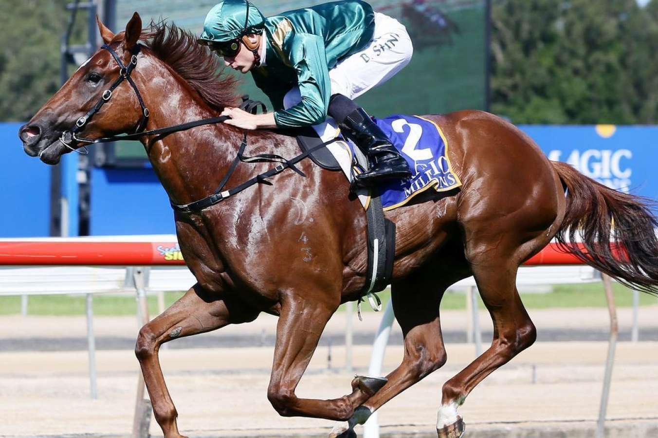 Wyong tips and preview for Magic Millions day