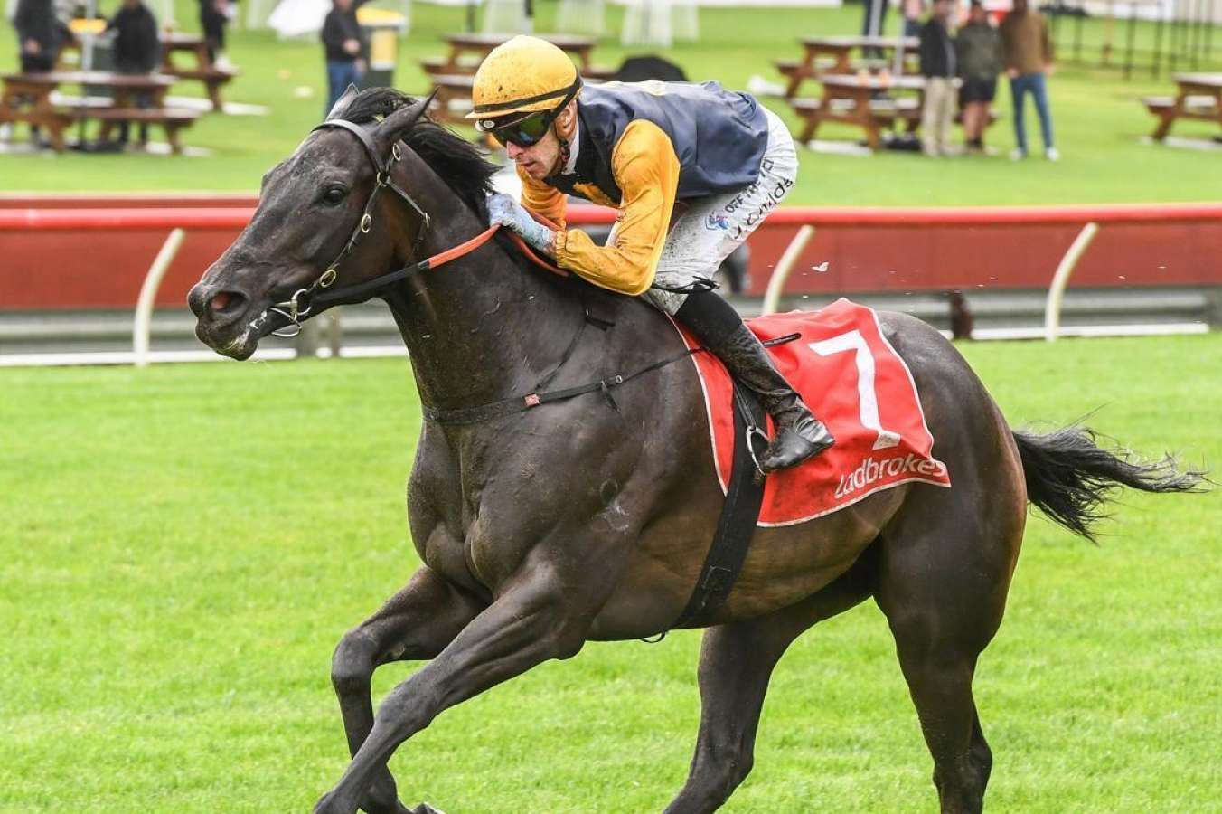 Cardinal Gem out to boost Stradbroke Handicap ambitions at Sandown