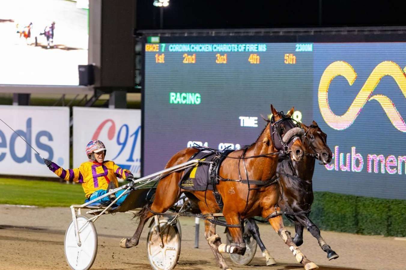 Catch A Wave has history on his side for a top three finish in Miracle Mile