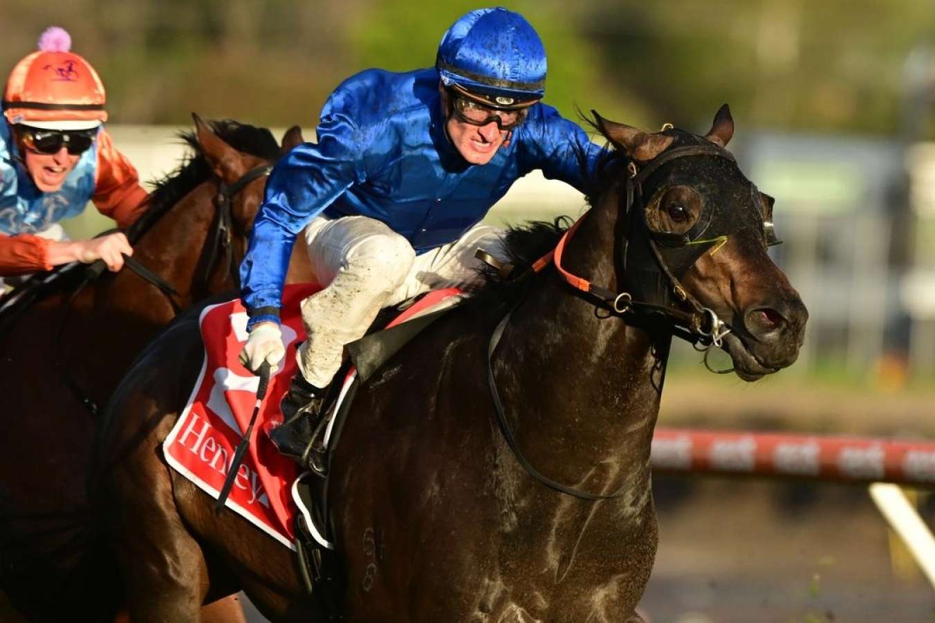 Godolphin stallion-in-waiting Ingratiating to resume in Monash Stakes