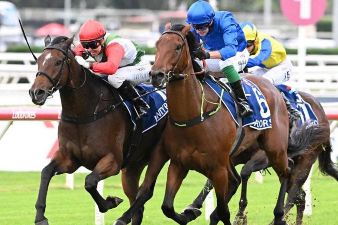 Portelli weighs up bold Group 1 backup plan for Kintyre