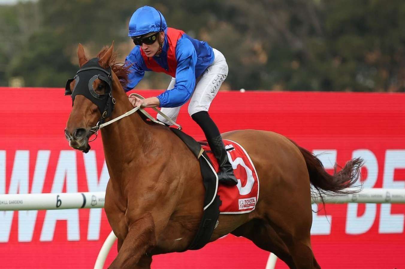 Schofield 'lucky charm' kicks off Rosehill double on Saturday