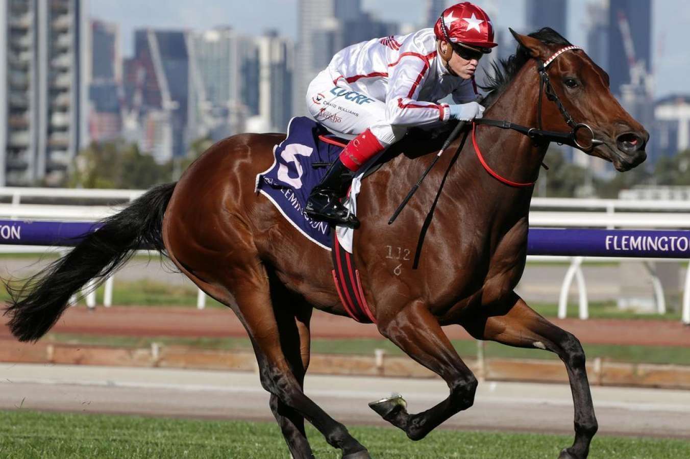 Matt Hoysted plans precision strike on Sunshine Coast Cup with Chaillot