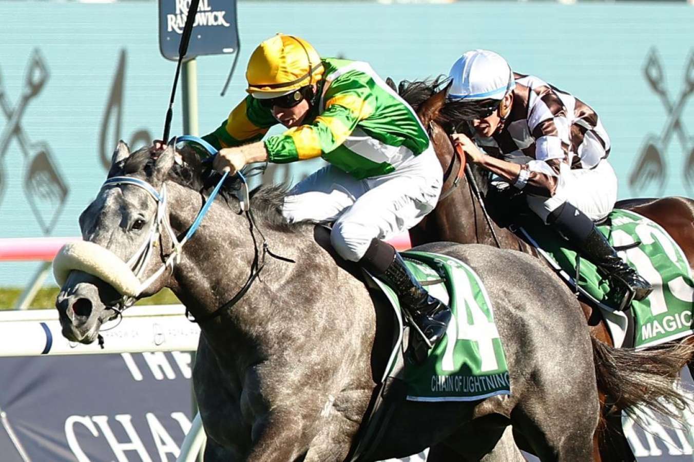 TJ Smith Stakes winner Chain Of Lightning has been retired