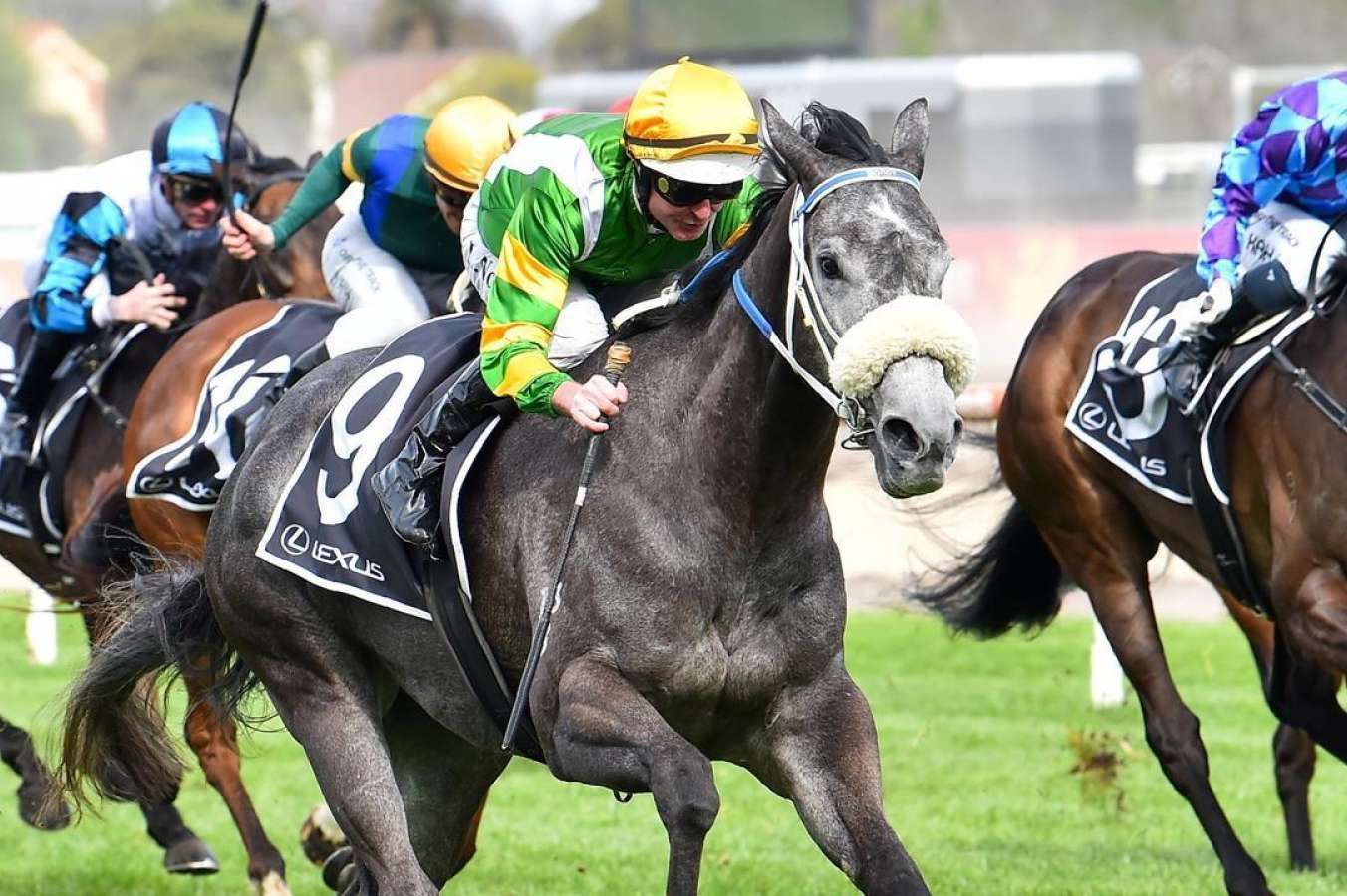 Chain Of Lightning out to break drought in Sir Rupert Clarke Stakes
