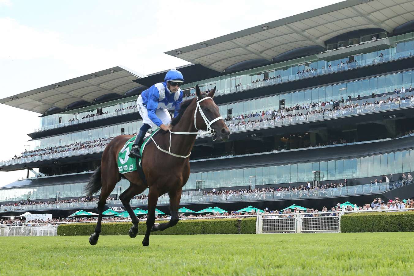 Winx in perfect order ahead of Ryder