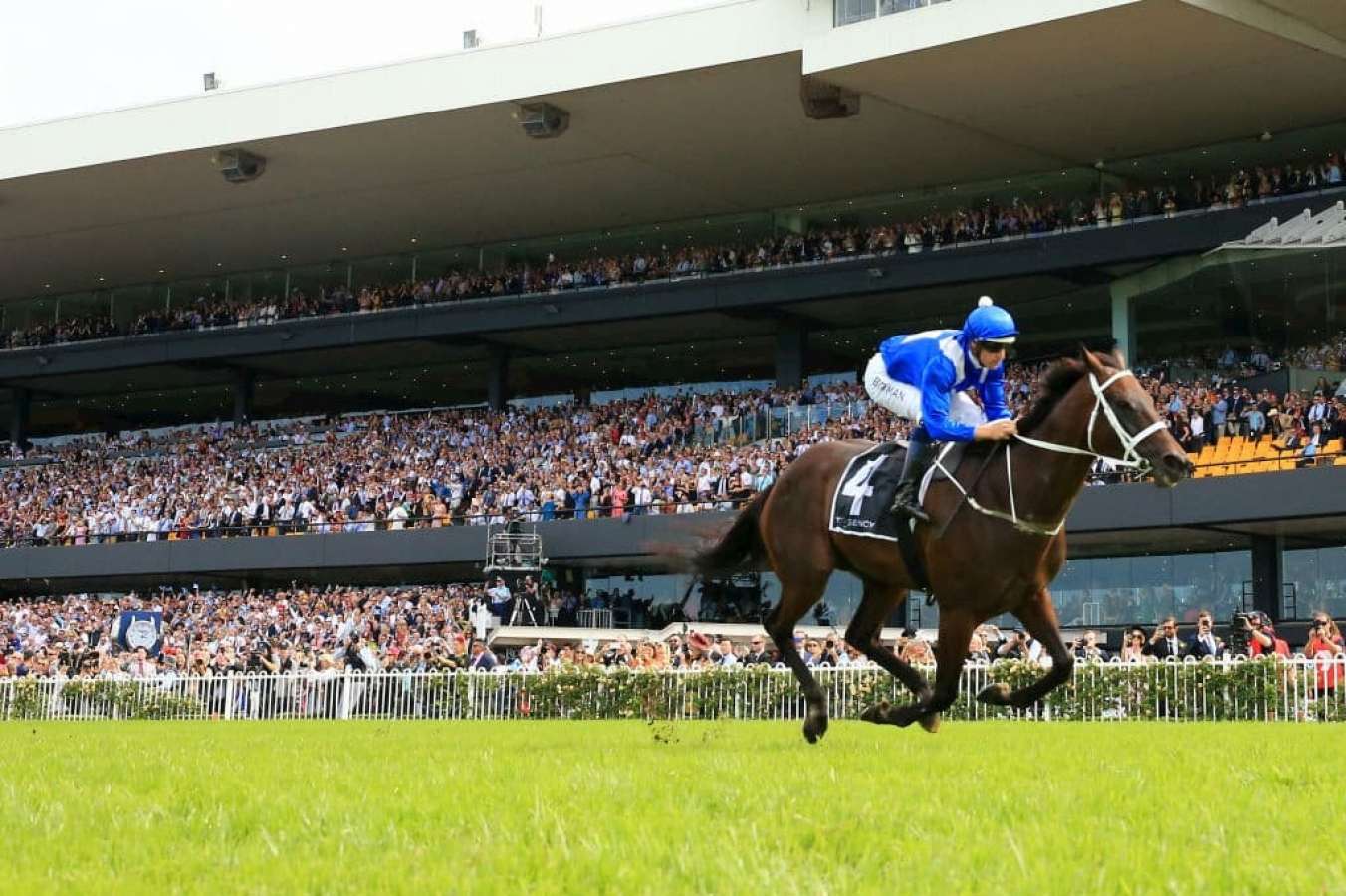 Winx an absolute champion: Damien Oliver