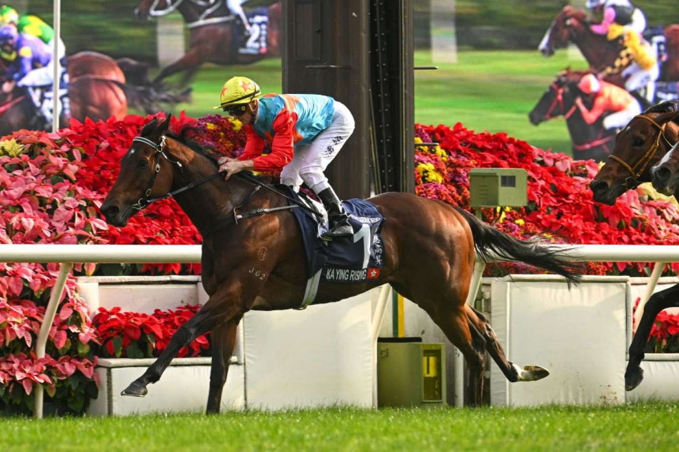 Sha Tin preview and tips: Sunday, February 23