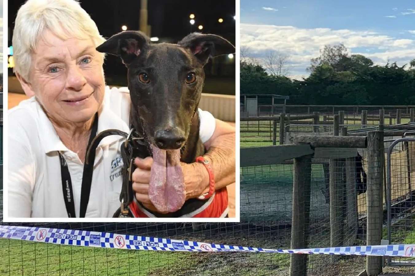 Niece charged with murder of greyhound trainer Karen Leek