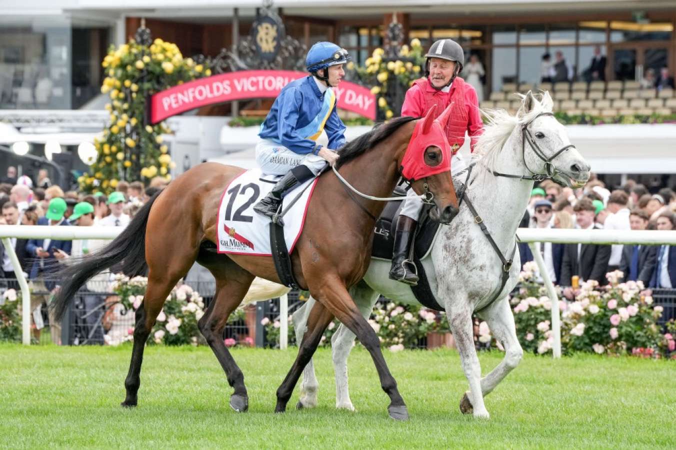 Sir Rupert Clarke Stakes runner-by-runner preview and tips