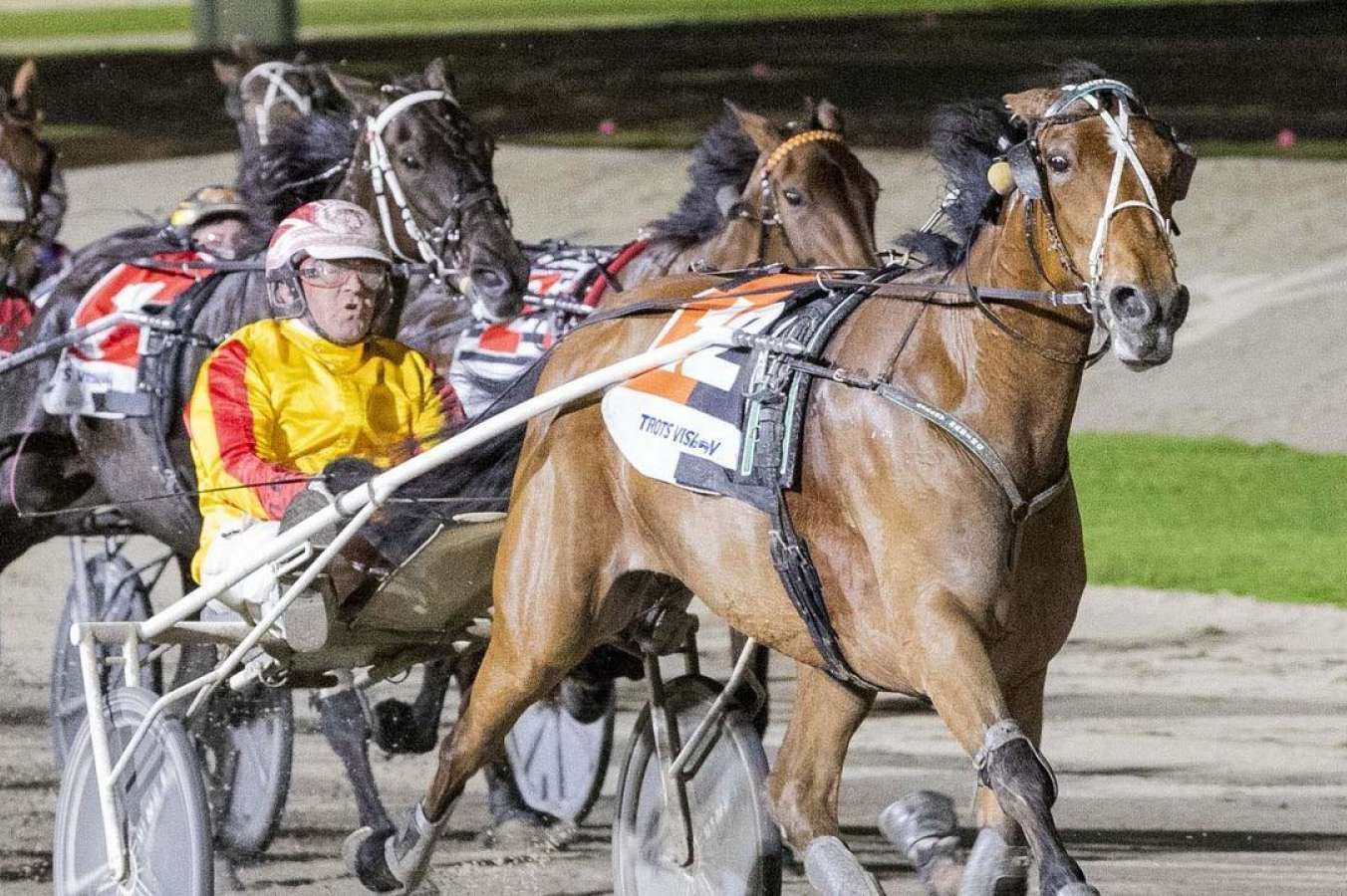 Top driver insists trotting star is world class