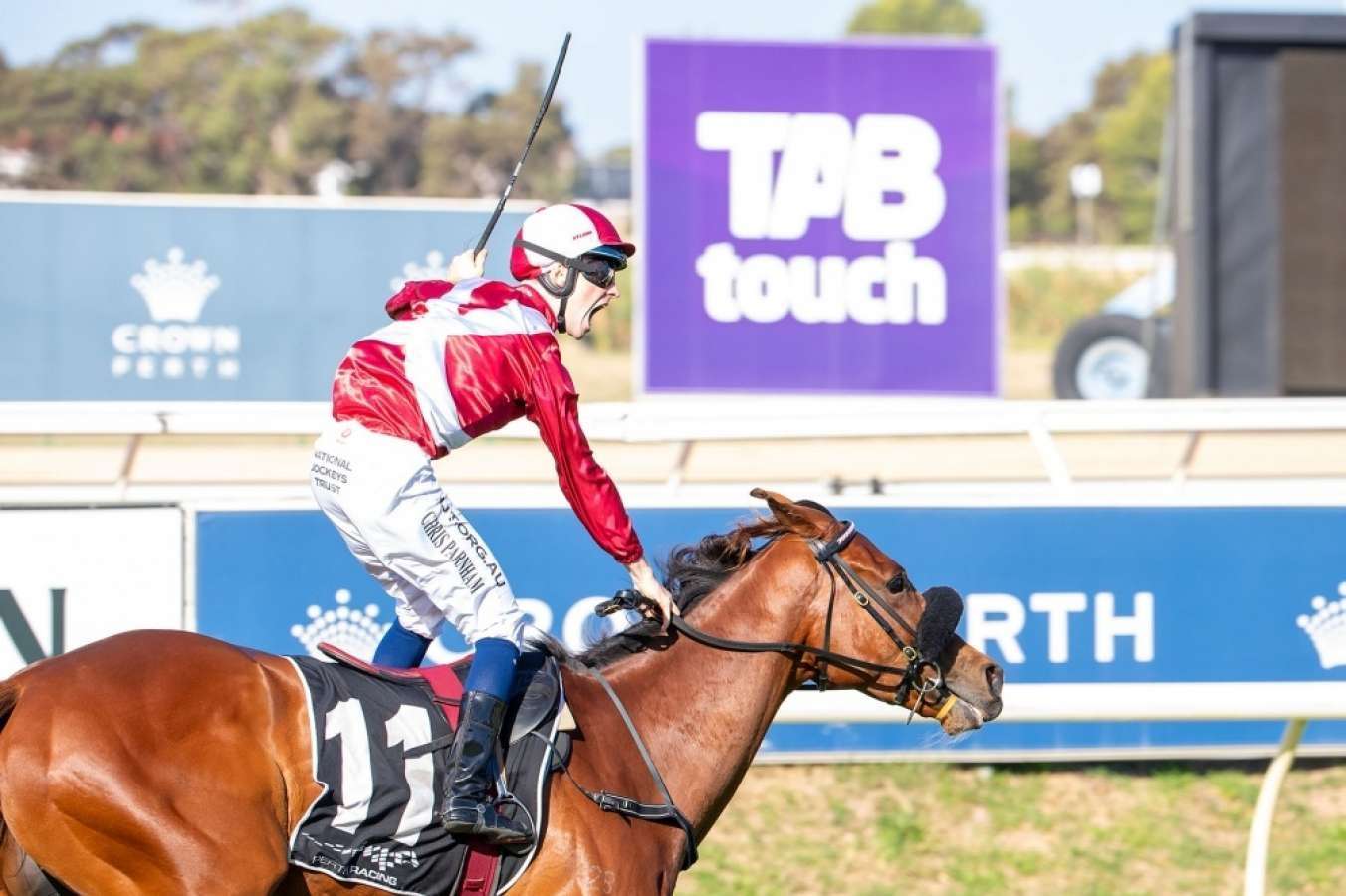 Perth Cup final field: Group One winner opens favourite