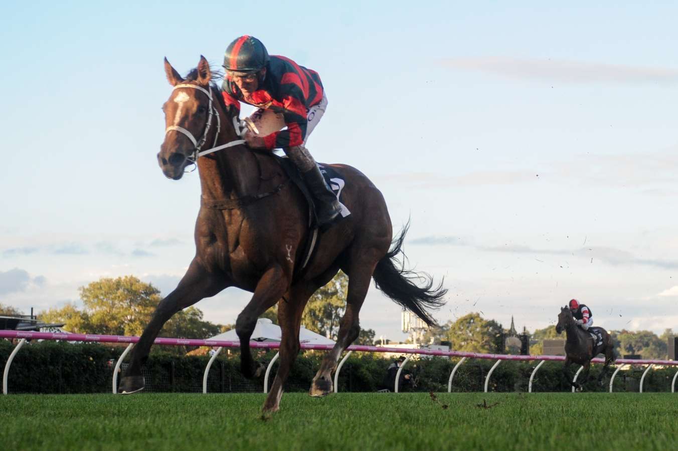 Egg Tart on track for Coolmore Classic