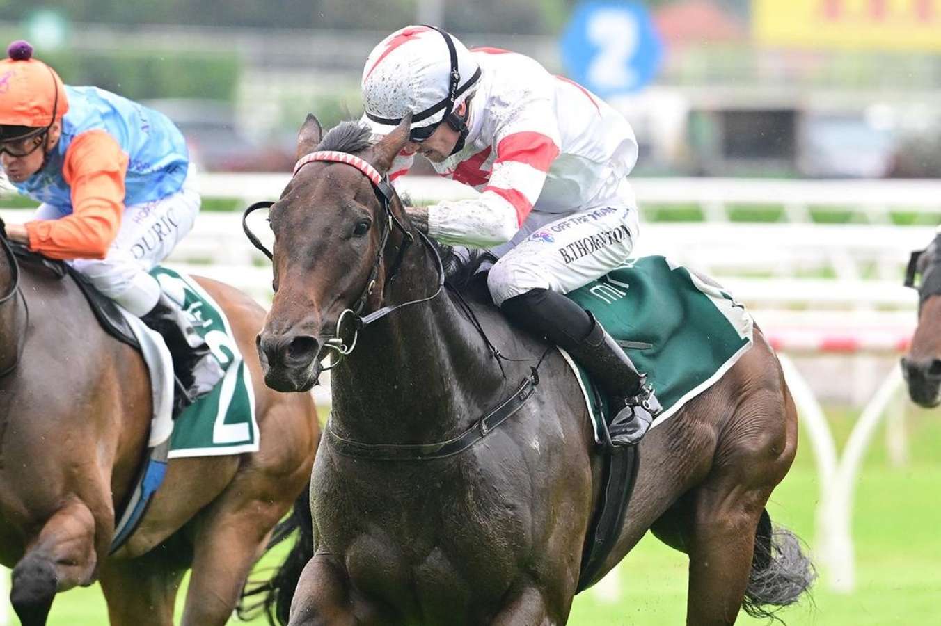Trainer Rex Lipp has 'no doubt' Cifrado can strike back at Doomben from ...