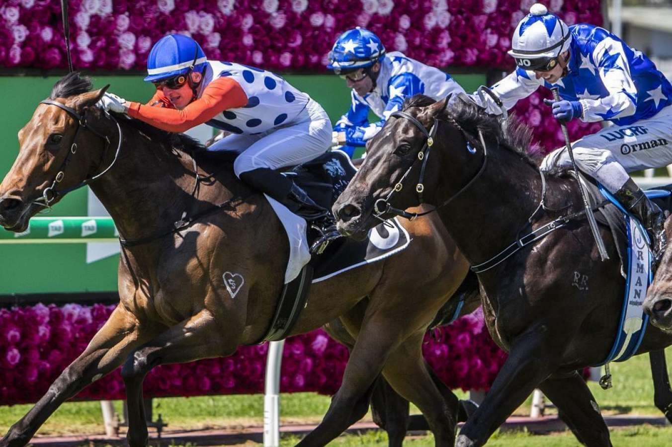Eagle Farm preview and tips: Best bets for Wednesday, July 5