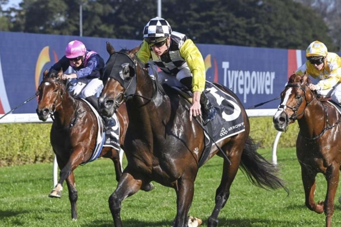 Rosehill - $101 winner set to blossom in Rosebud