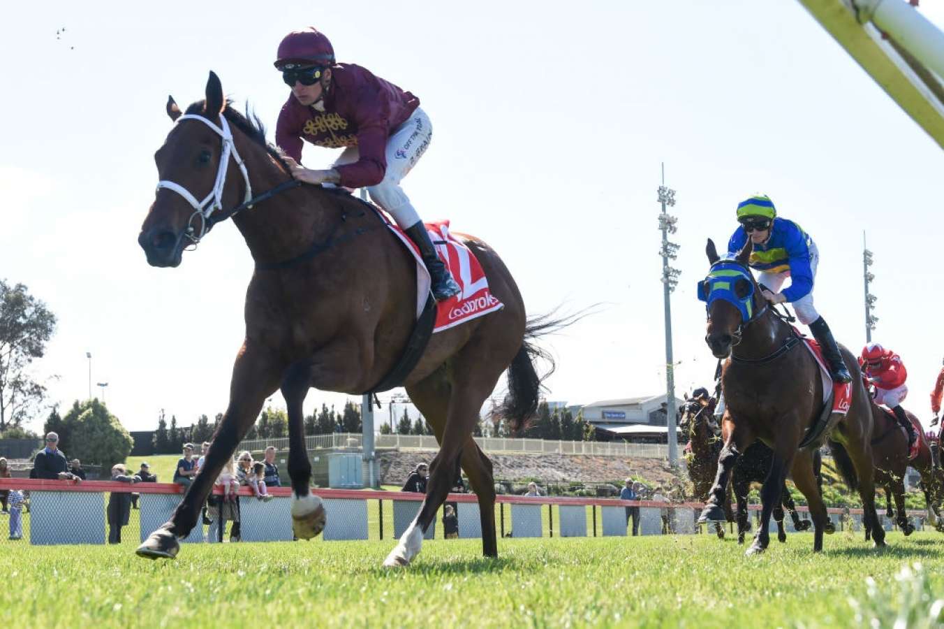 Spring horses to follow: Filly has potential to be dominant miler