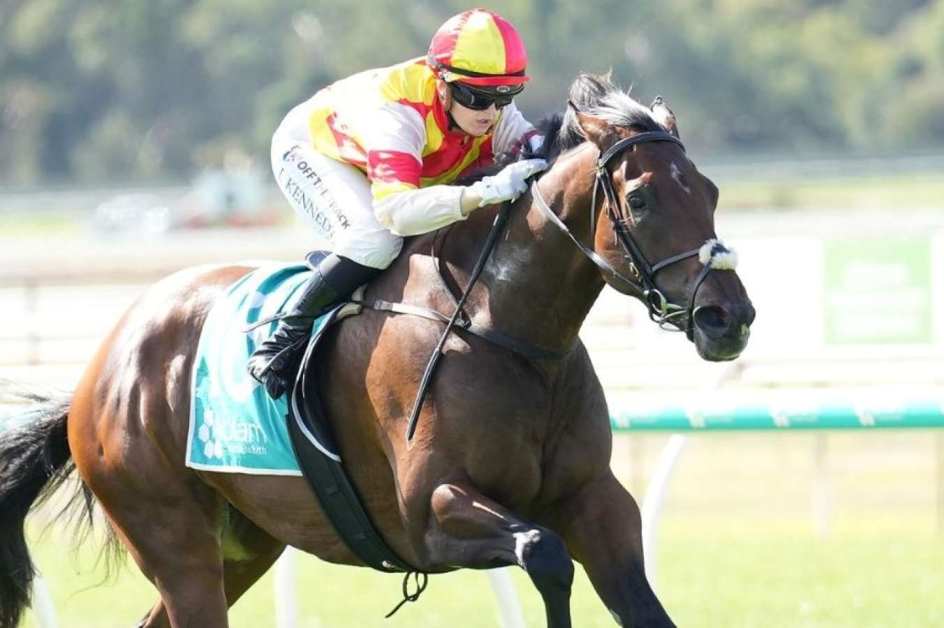 Caulfield Cup barrier curveball for Coco Sun
