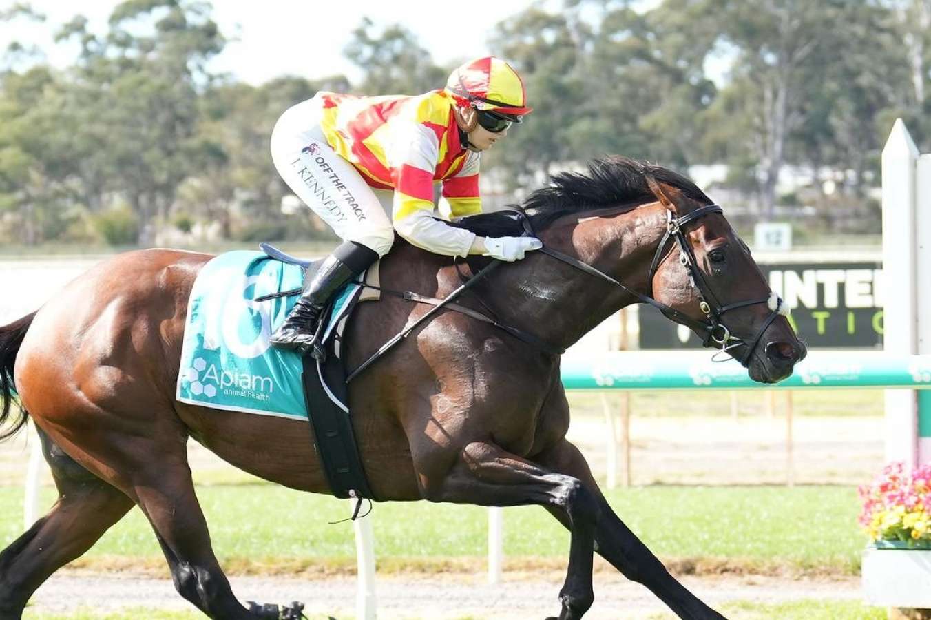 Coco Sun ready to shine in Group 1 Australasian Oaks at Morphettville