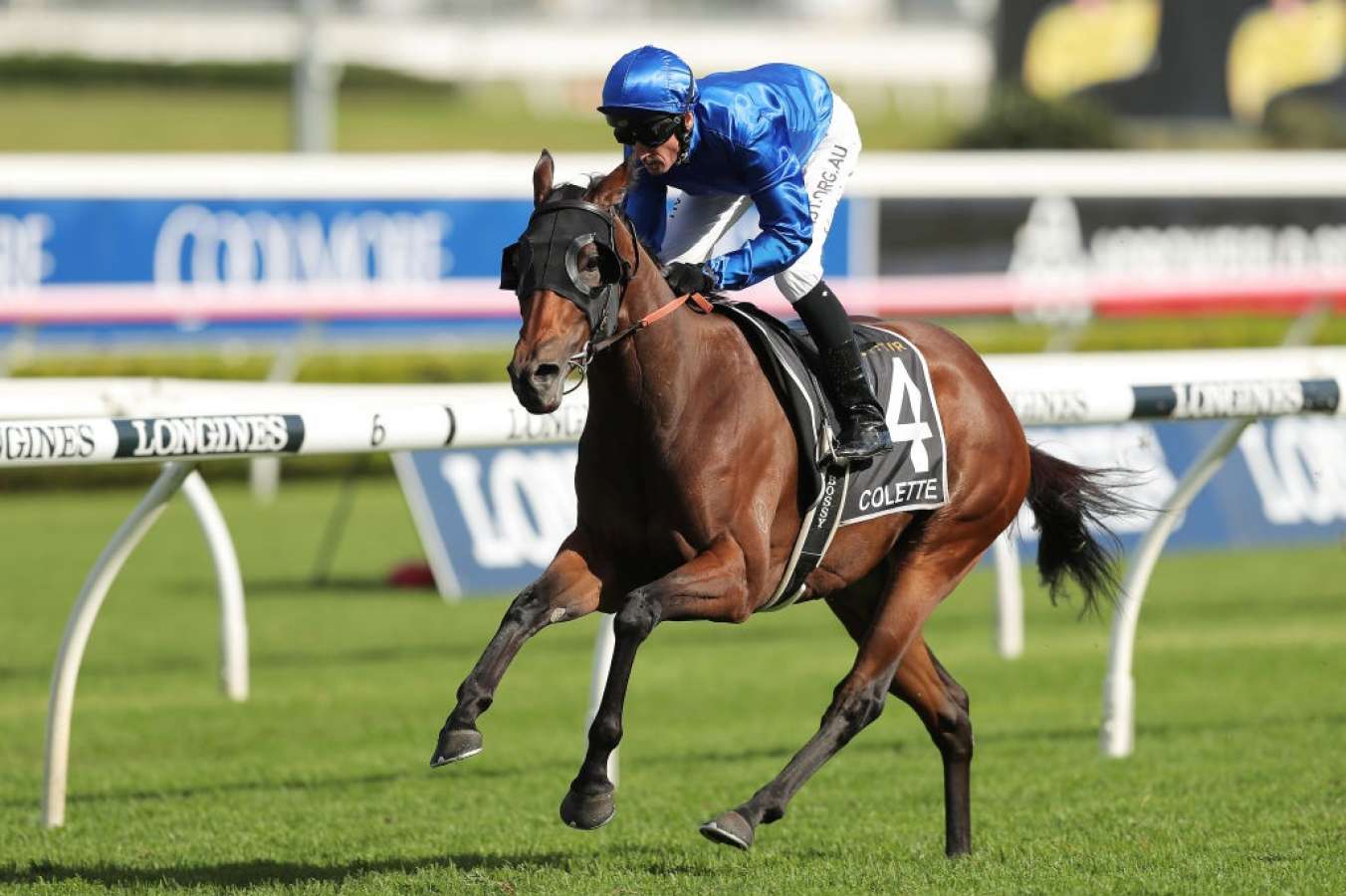 Colette back in work for early spring assault while Cummings eyes Tatt ...