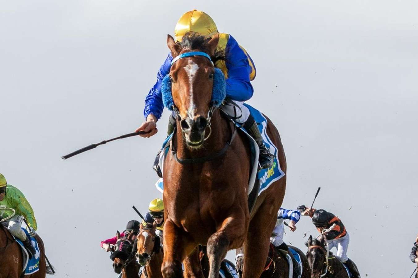 Matthew Seyers having a 'throw at the stumps' in Sandown Guineas