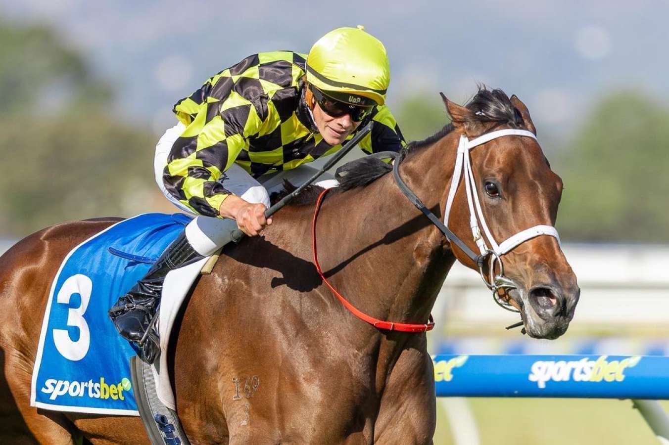 Australasian Oaks on the cards for Comanche Miss after Clare Lindop ...