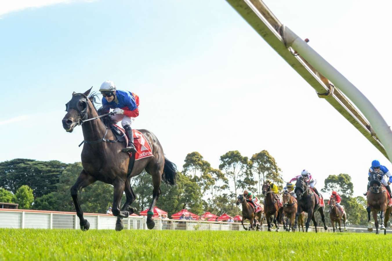 Racing: Wednesday Selections - February 8, 2023 | Odds