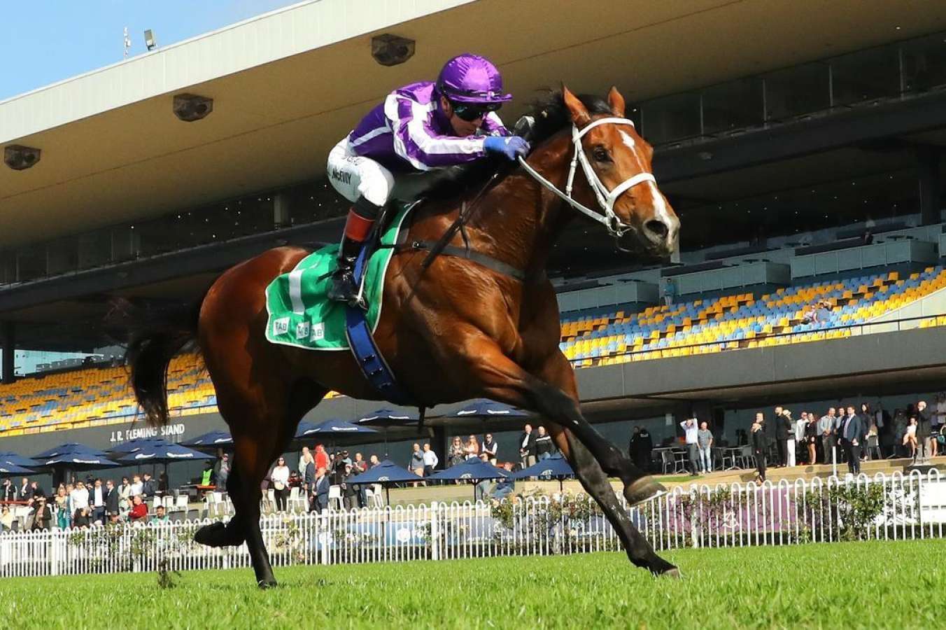 Tom Magnier says sky is the limit for star colts Congregation and Shinzo