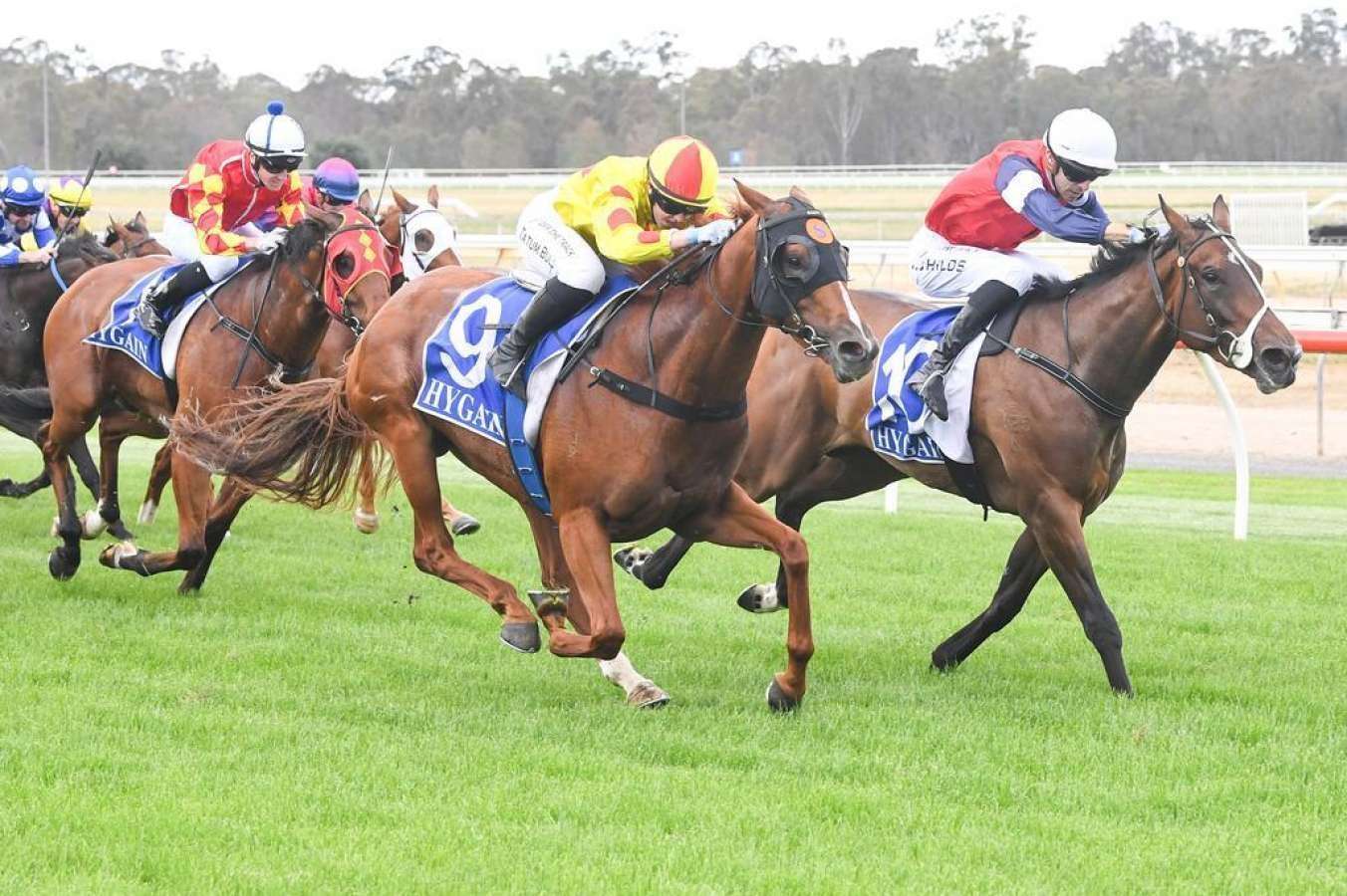 $181 pop storms home to roll $700k yearling