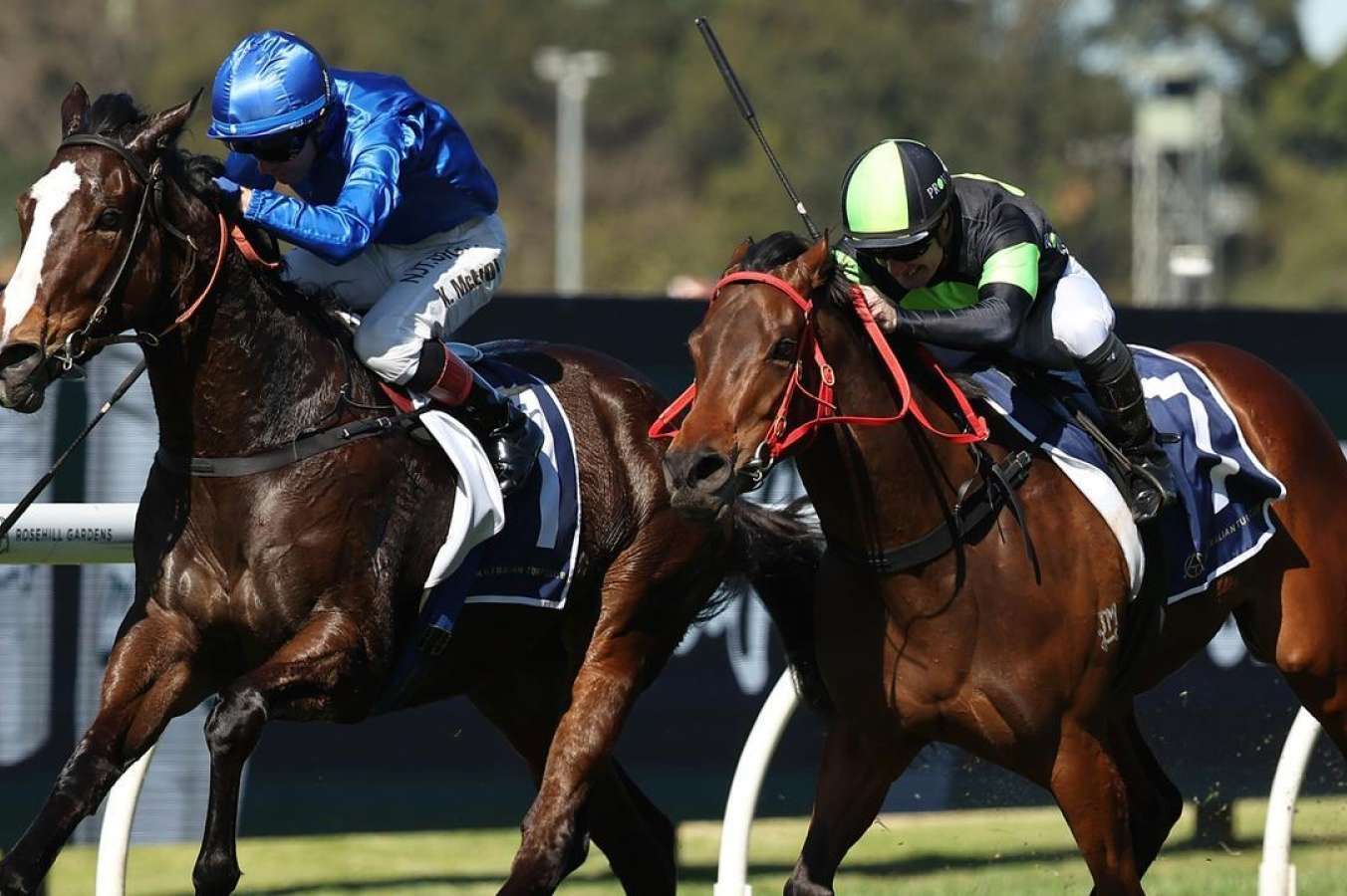 Promising mare Cosmonova shines bright in Rosehill victory