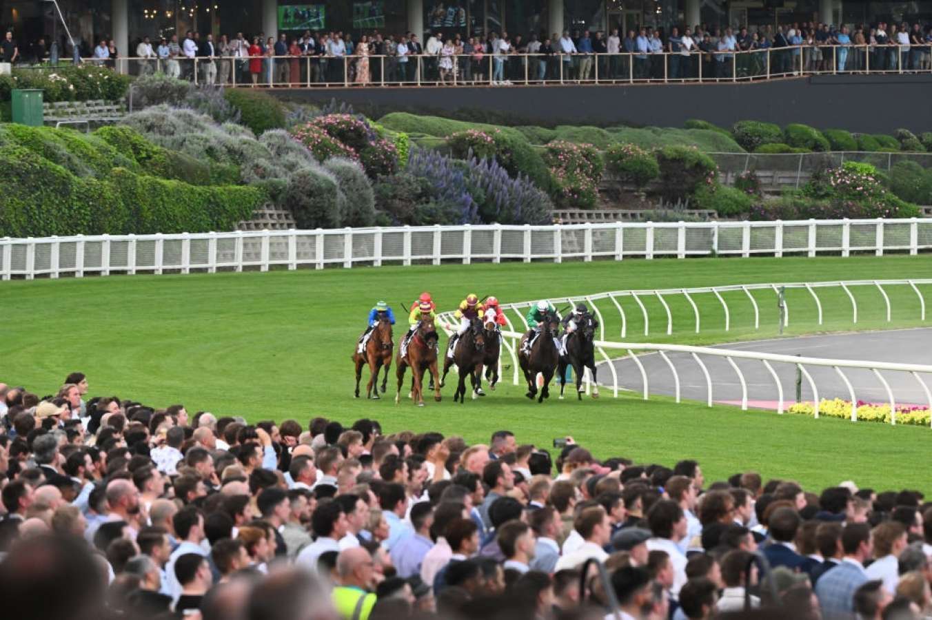 Expert tips: Cox Plate, Spring Champion Stakes