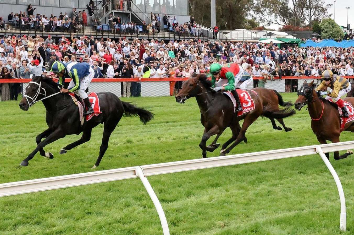 Cranbourne and Pakenham race clubs exploring potential merger