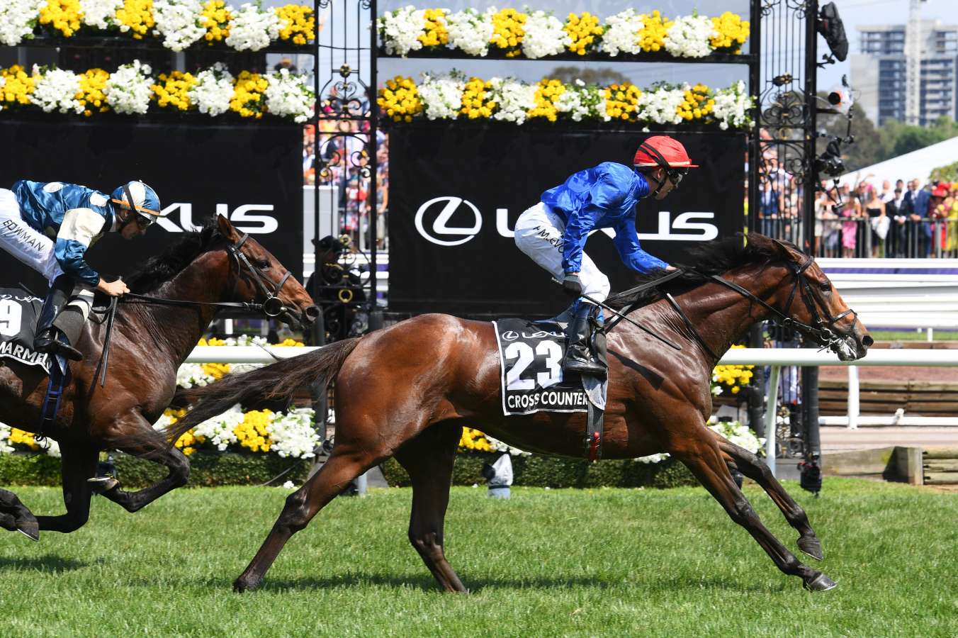 Cross Counter, Prince Of Arran confirmed for Gold Cup