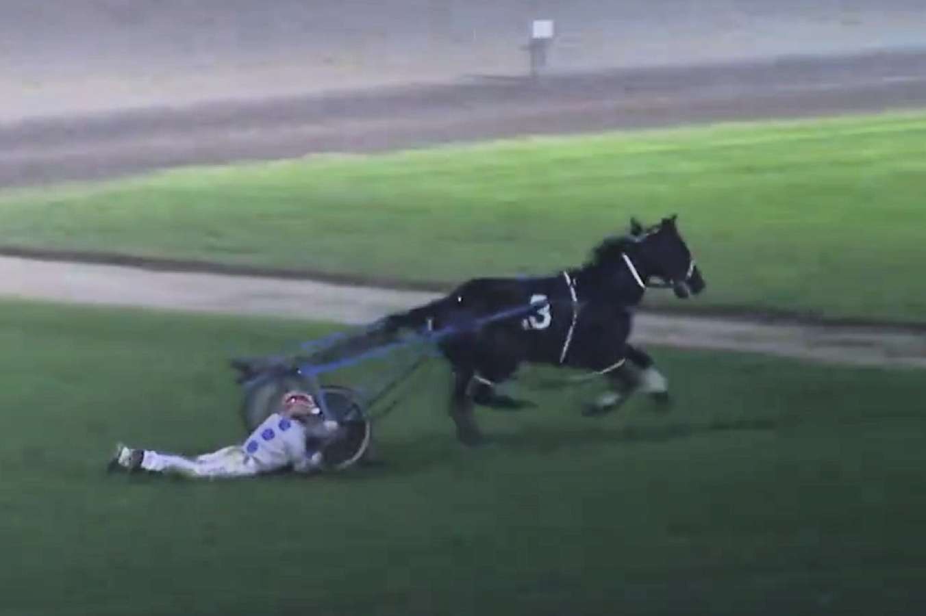'No way I'd hold on': Winning horse takes driver on wild post-race ride