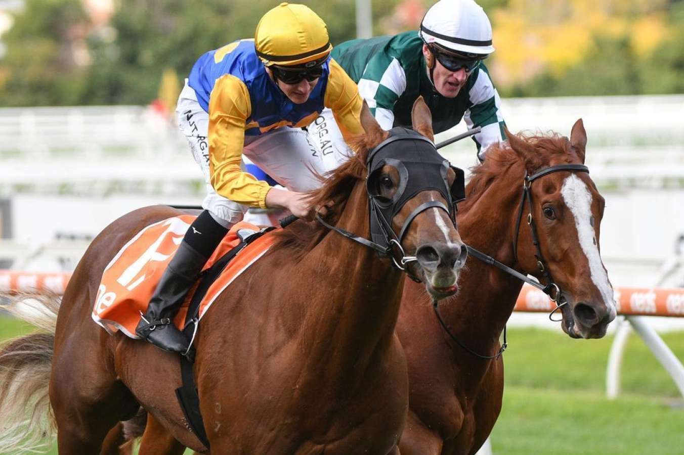 Curran to tackle Group 3 Standish Handicap at Flemington