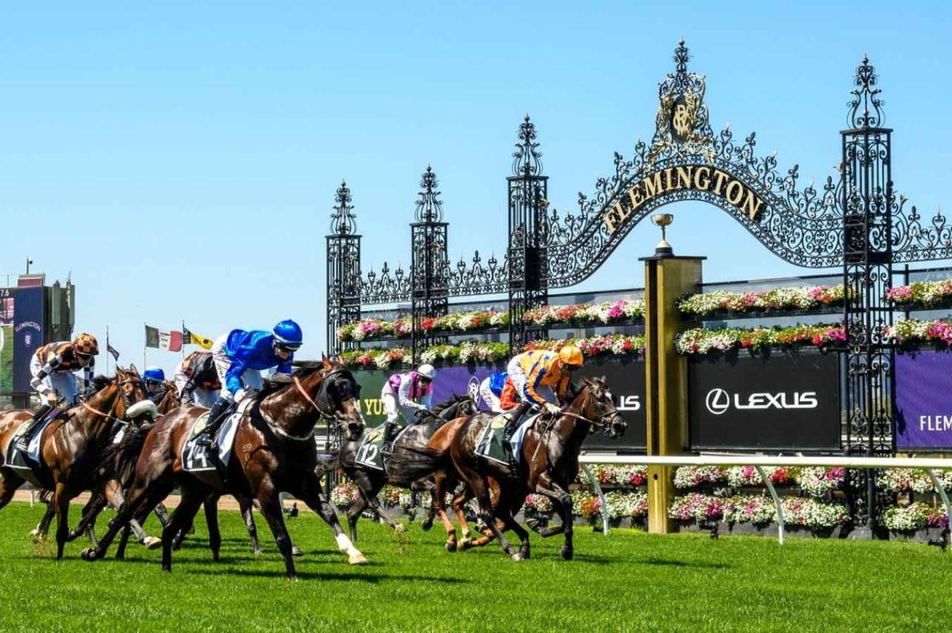 Newmarket Handicap Field - 2025