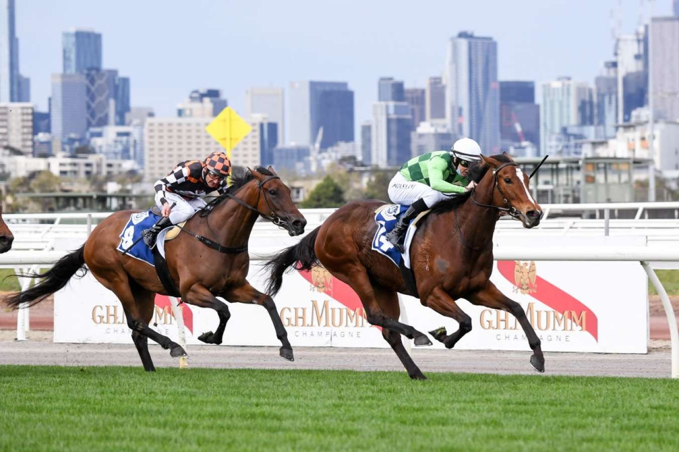 Flemington preview and tips: Saturday, January 15