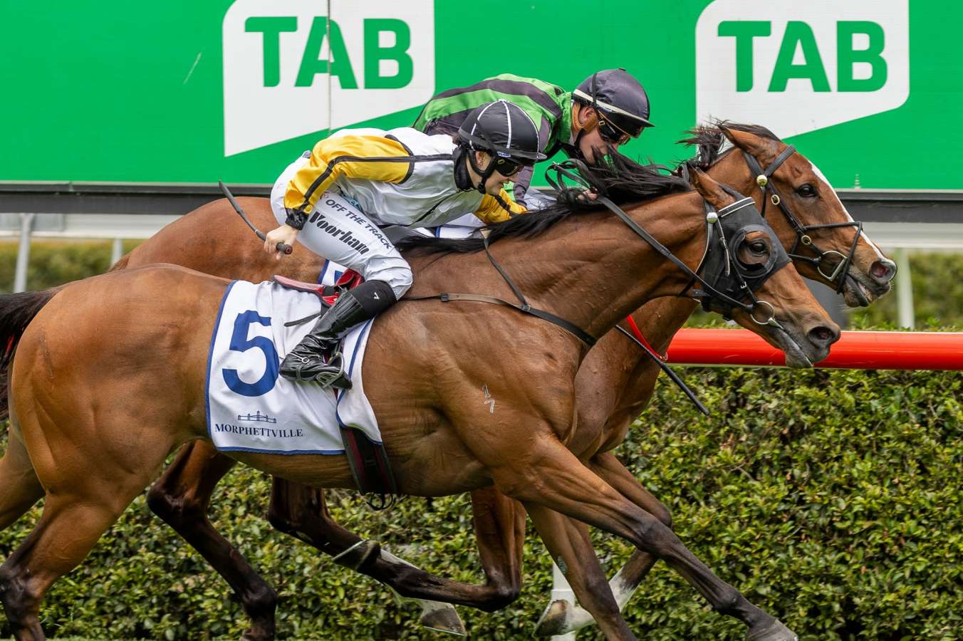 Darren McLeod saddles up first Group runner in Eclipse Stakes at Caulfield