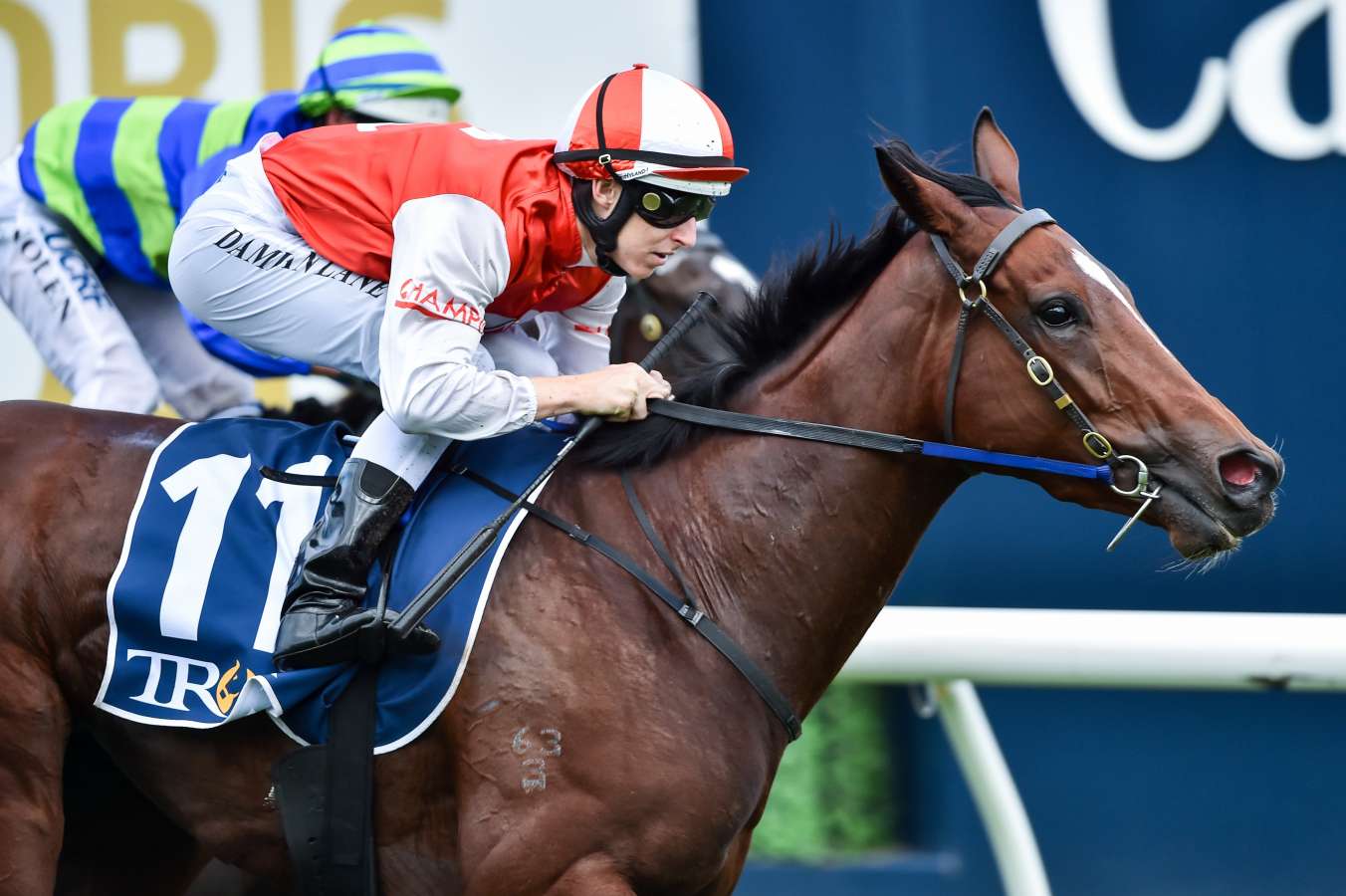 Magic Millions Trophy aim for Toffee Nose