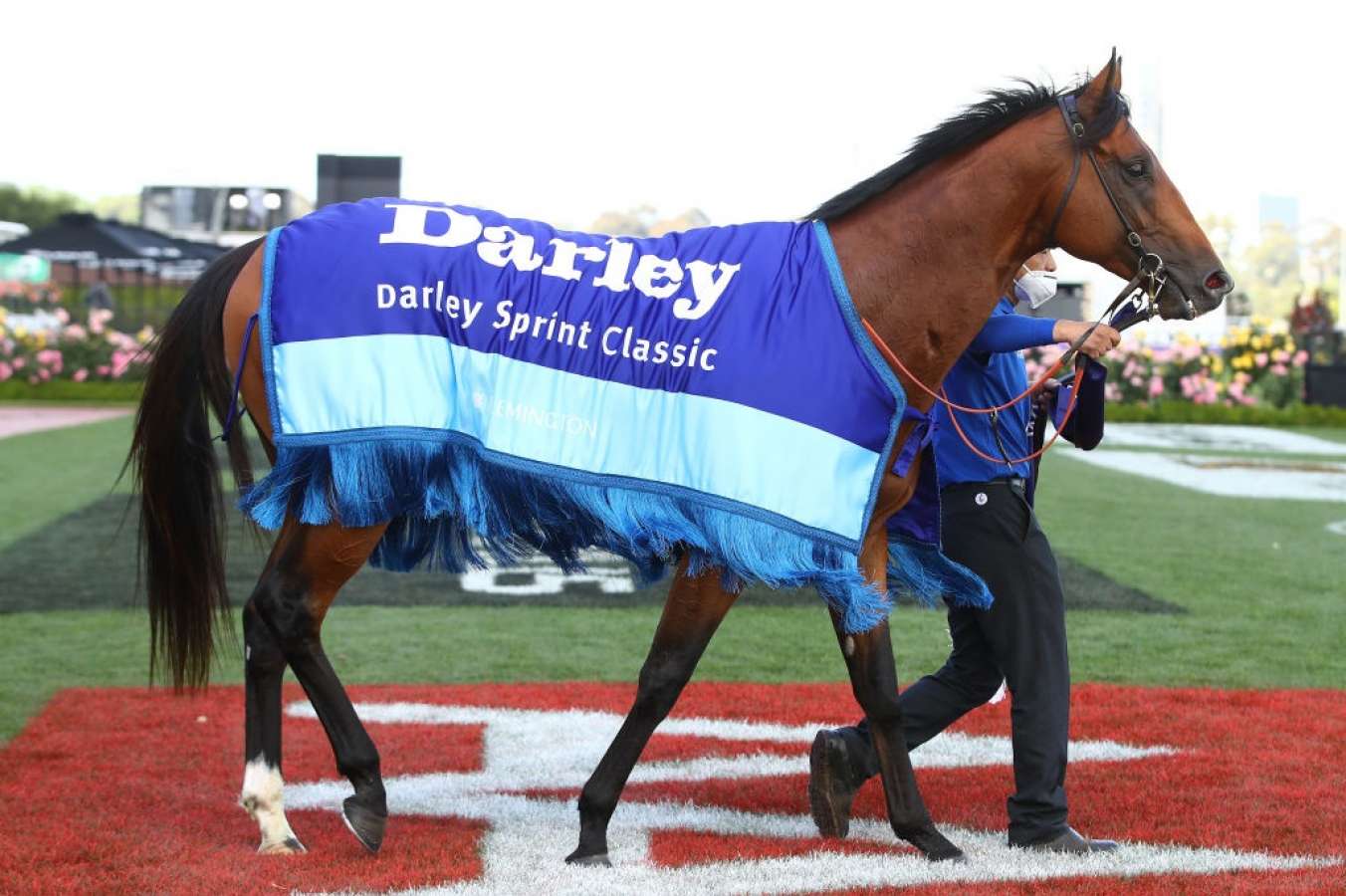 Darley offers up prized stallion nominations for Princess Series ...