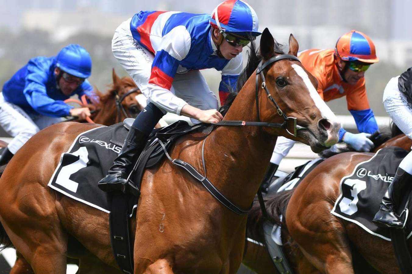 Prominent owner David Price slams Racing Victoria's 'woke agenda'