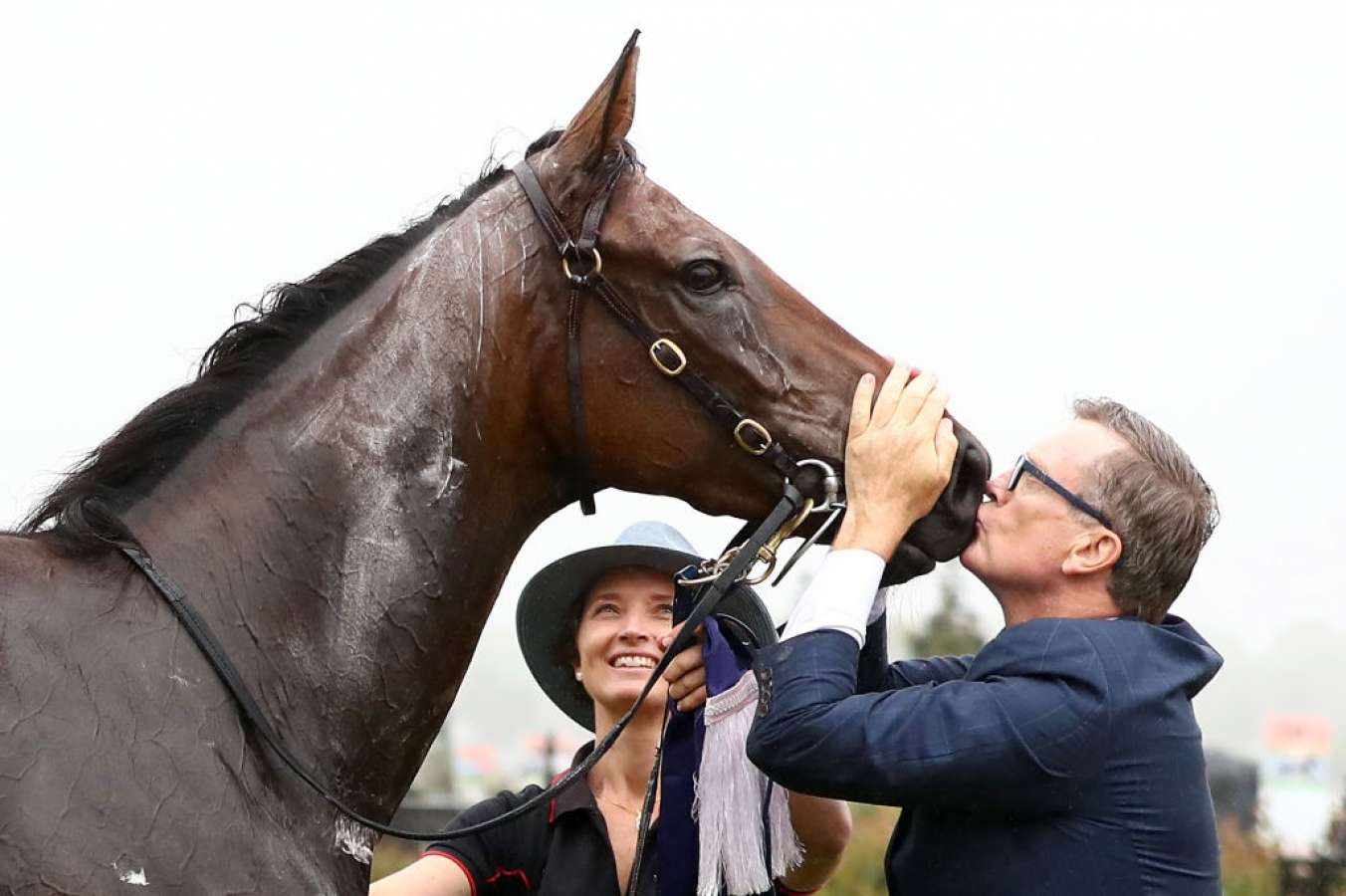 Alligator Blood after first G1 in Australian Guineas