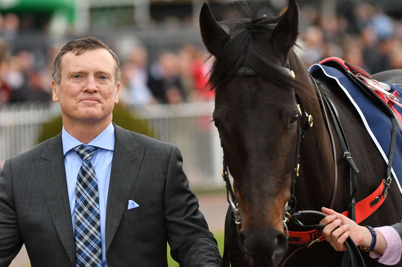 David Vandyke to separate 2YO stablemates