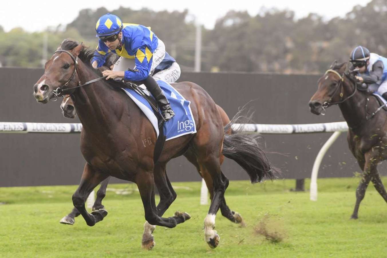 Doomben preview and tips: Saturday, May 30