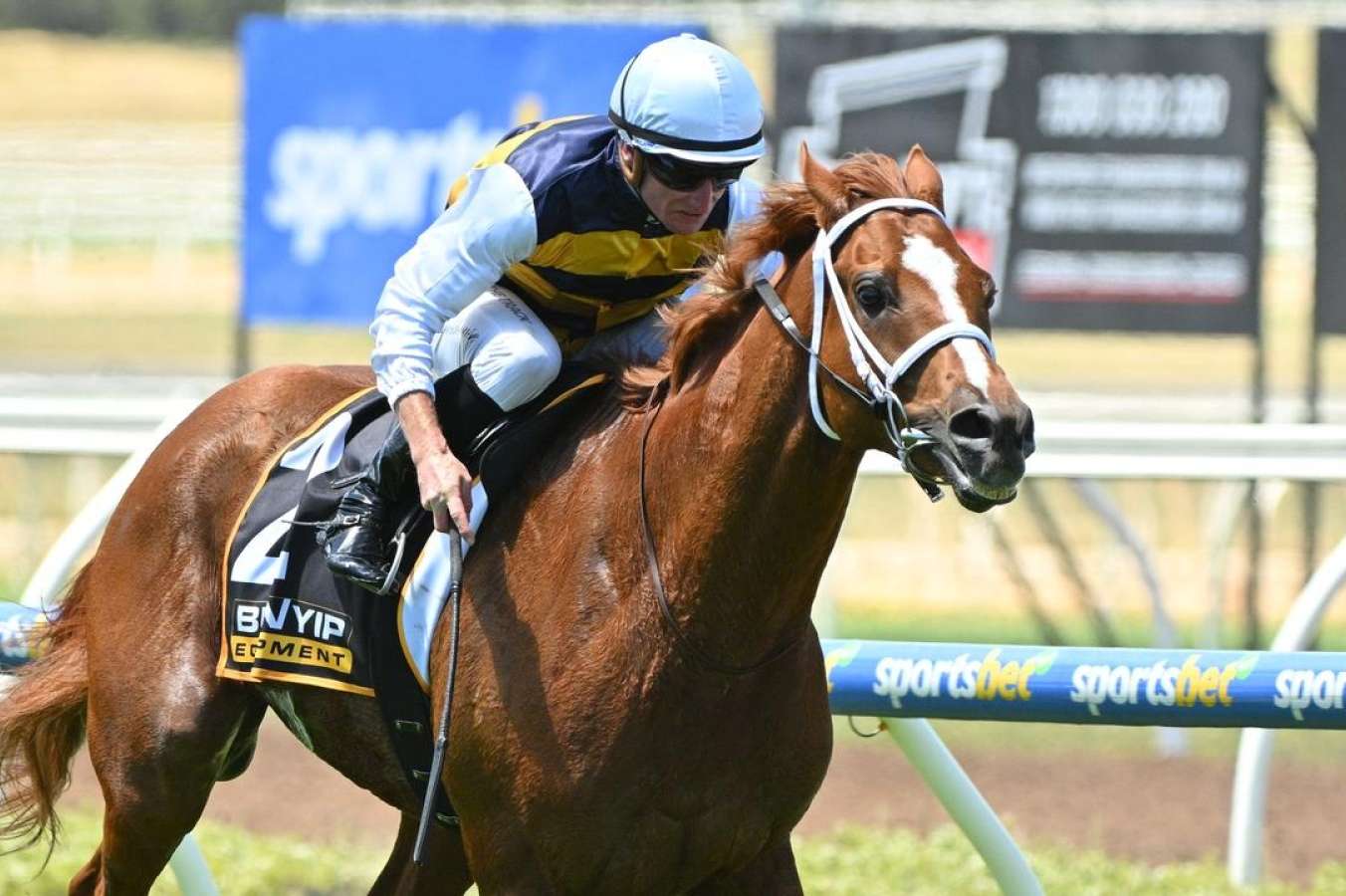 Hefty weight rules out Phillip Stokes stayer Deakin from Adelaide Cup