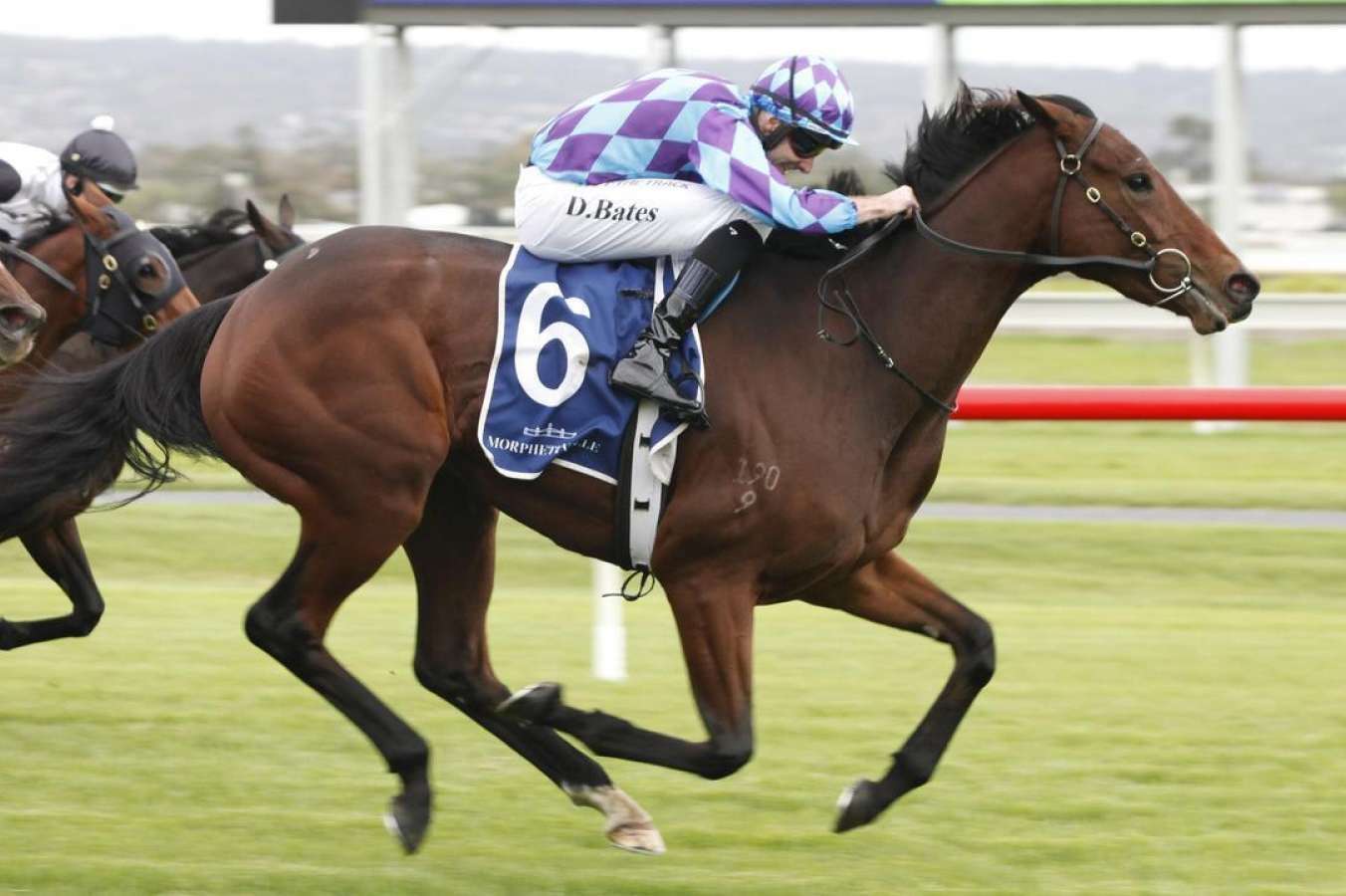 Ciaron Maher and David Eustace eye off Australasian Oaks trophy