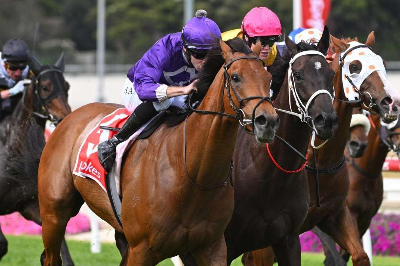 Declan Bates adds Cranbourne Cup to late spring haul